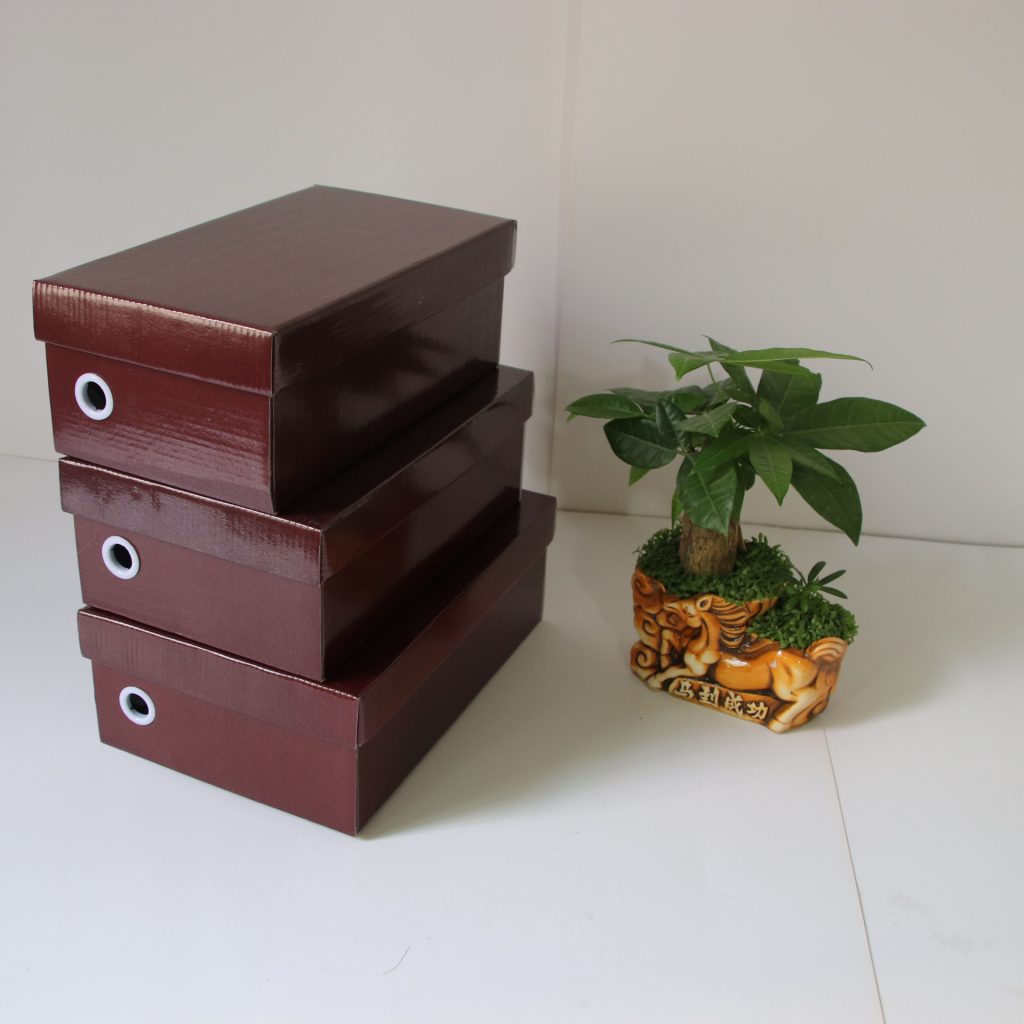 Standard shoe box customization | Custom Cardboard Boxes