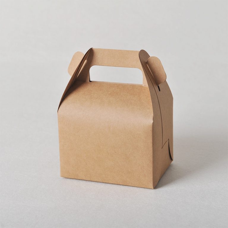 Portable Simple Biscuit Box | Custom Cardboard Boxes